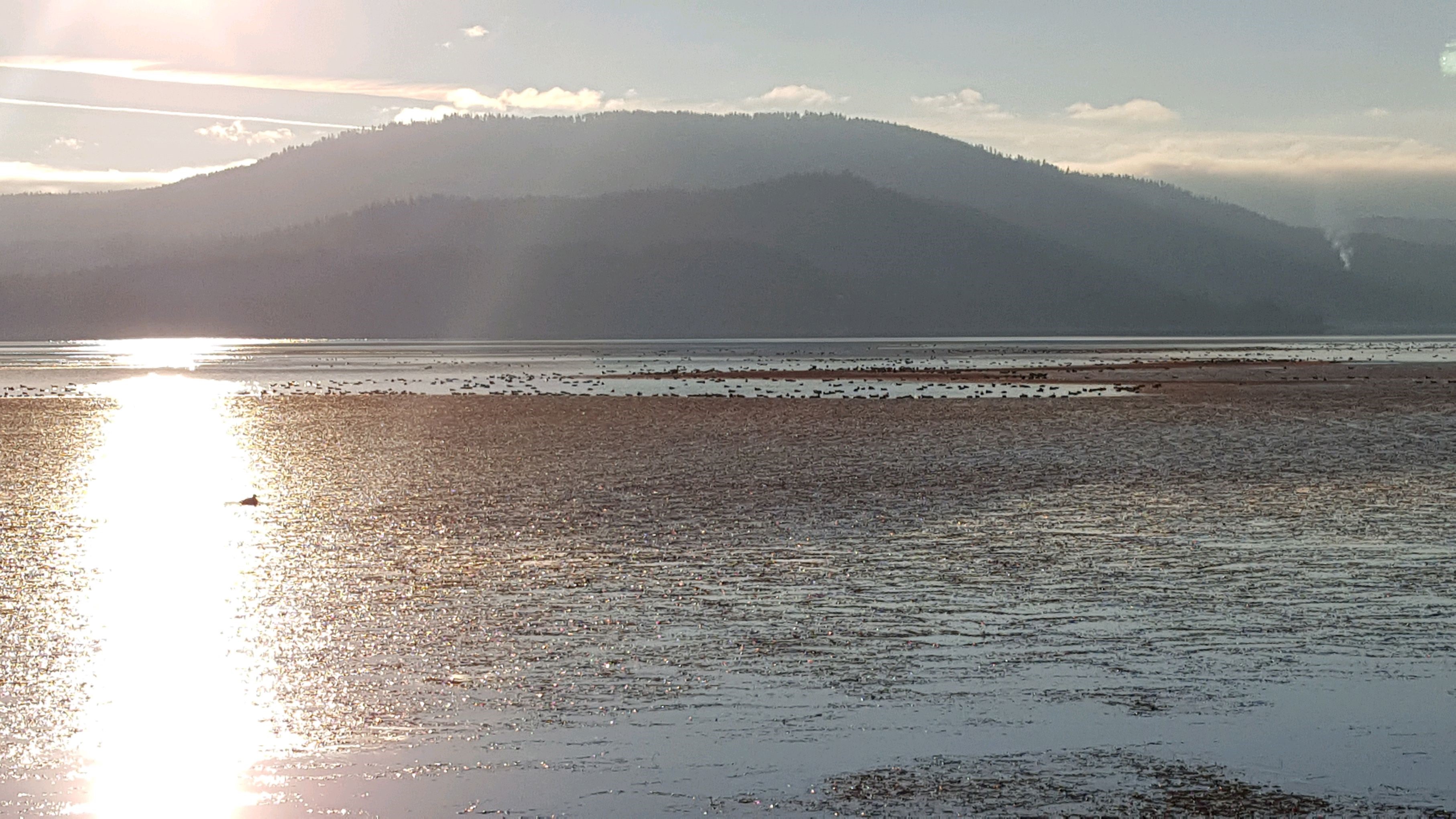 What is that Red Stuff on the Water? | LAKES COMMISSION